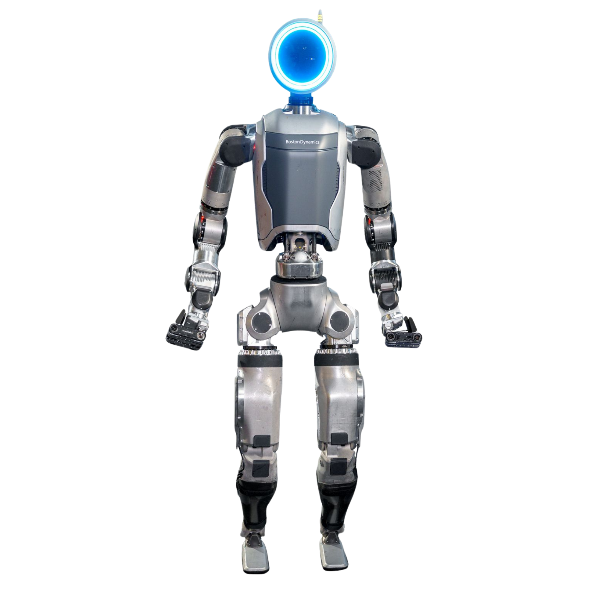 HouseBots