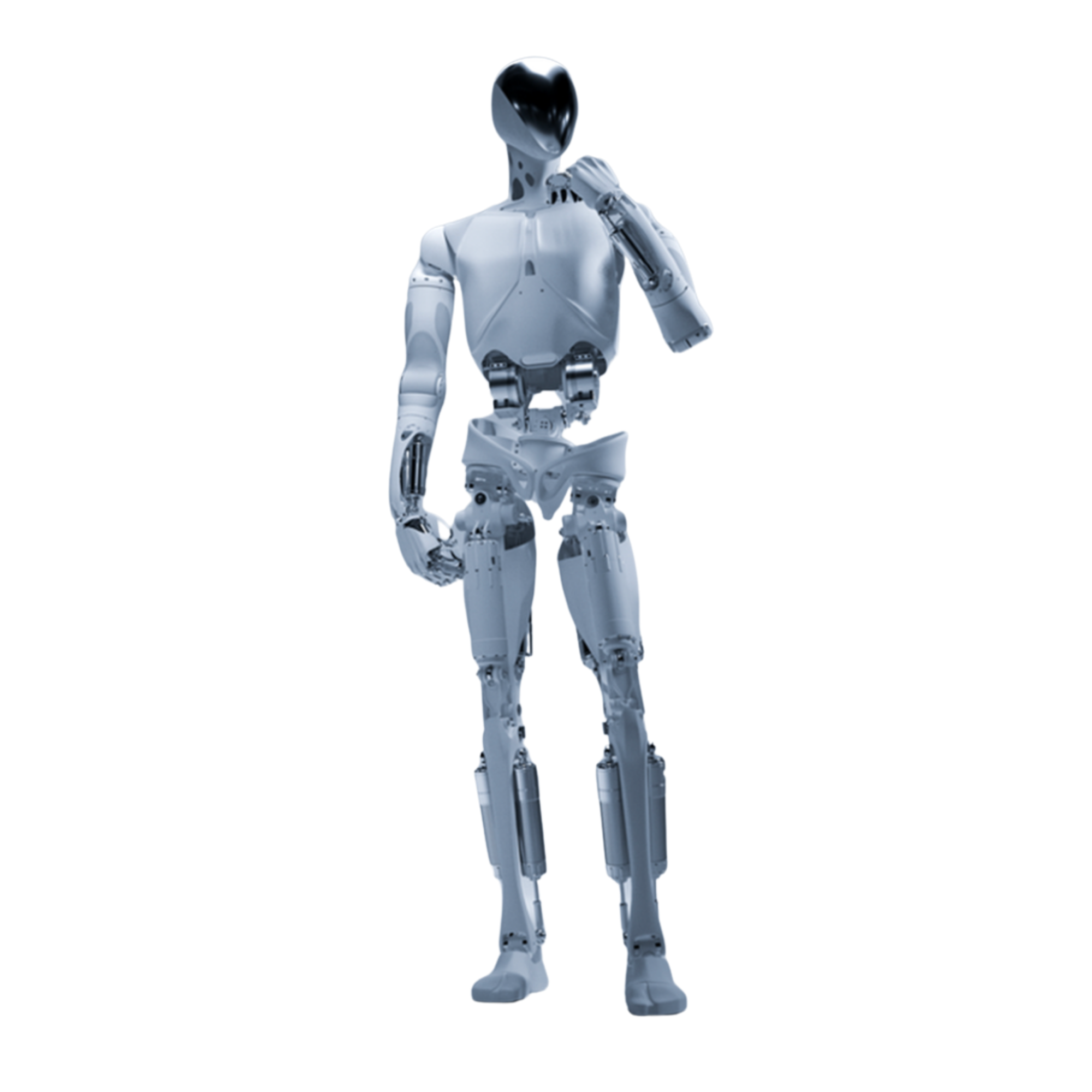 HouseBots
